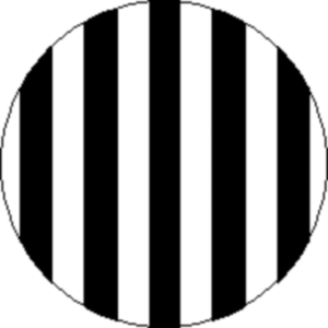 Gerd Neumann Ronchi Eyepiece 10L/mm